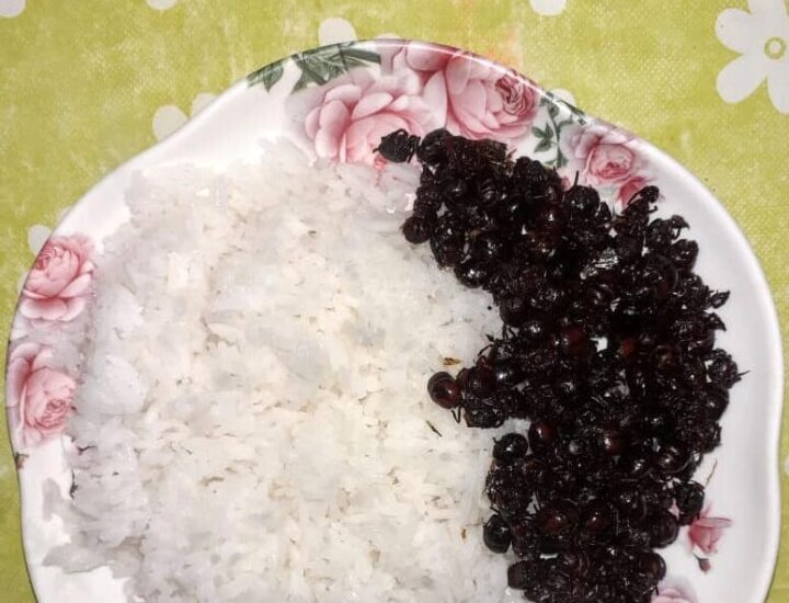 Receta de plato amazónico Maito de Tilapia - Recetas de Bolivia