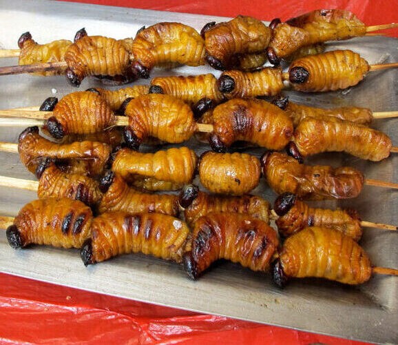 Receta de Maito de Pollo del Amazonas Boliviano - Recetas de Bolivia